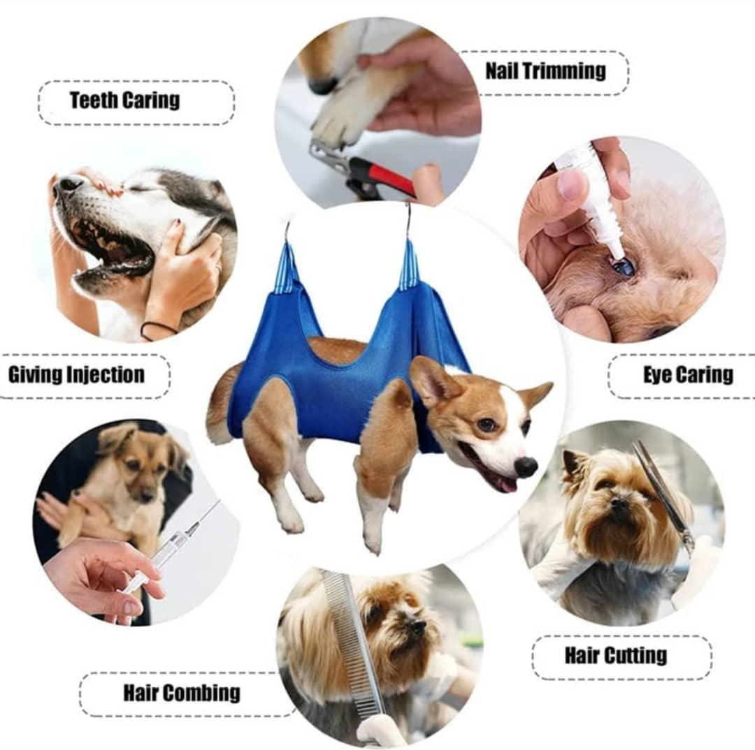 DOG/CAT HOME GROOMING ASSISTANT NAILS/TRIMMING/TAKING MEDICILNE/CLEANI ...